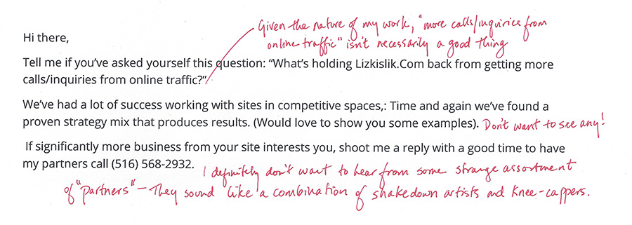 Please Stop Sending Me Annoying Emails Like These! | Liz Kislik